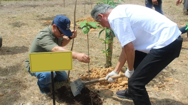 Belantara Foundation Ajak Mitra Jepang Tanam Pohon - RRI.co.id