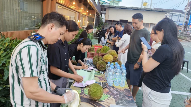 Bazar Durian Balai Karangan Siap Manjakan Warga Pontianak Mulai Jumat ...