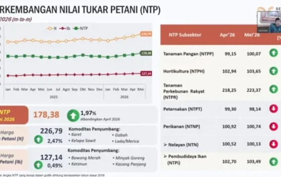 NTP Kalbar Menguat Ditopang Karet dan Sawit - RRI.co.id
