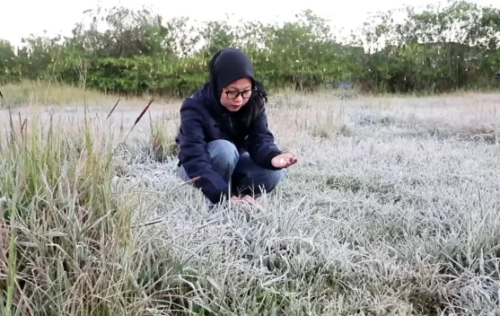 Suhu Minus 2 Derajat Celsius, Embun Upas Hiasi Kompleks Candi Arjuna ...