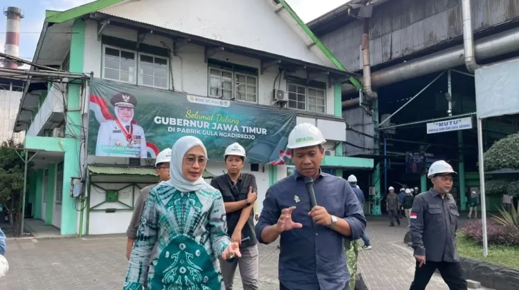 DPR Dorong Pabrik Gula Maksimalkan Serapan Tebu Petani - RRI.co.id