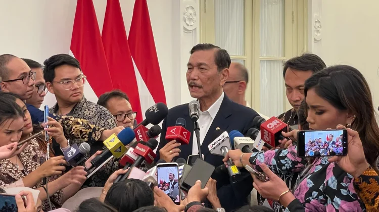 Luhut Optimistis Implementasi GovTech Tingkatkan Penerimaan Negara ...