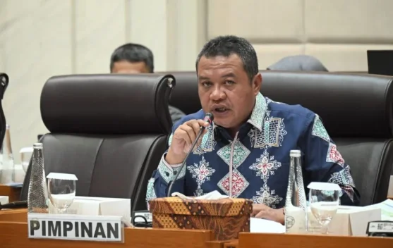 Legislator: Devisa Sektor Pariwisata Nasional Masih Bertumpu di Bali ...