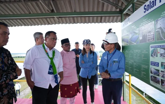 KLH Dorong ‘Water Sharing’ Cegah Karhutla di Riau - RRI.co.id