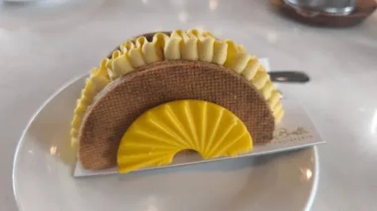 Cara Membuat Mango Cheseecake - RRI.co.id