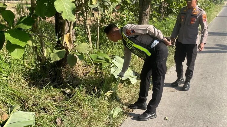 Diduga Korban Tabrak Lari, Pria Lansia Ditemukan Tewas di Sumberlawang ...