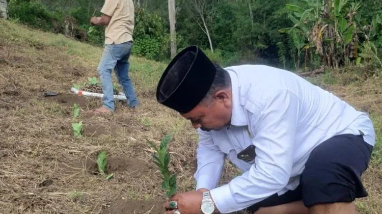 Kemenag Gayo Lues Tanam Kopi Arabika di Tanah Wakaf Produktif - RRI.co.id