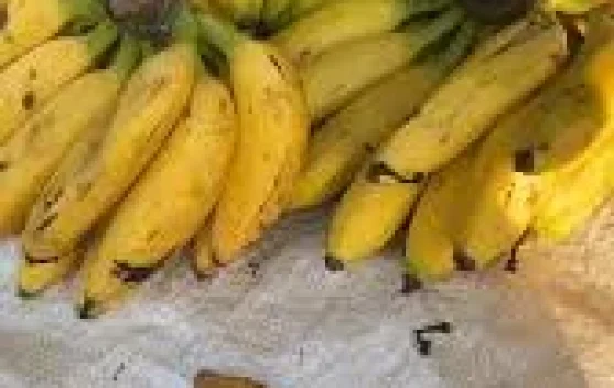 Makan Pisang Bermanfaat untuk Tubuh dan Jantung - RRI.co.id