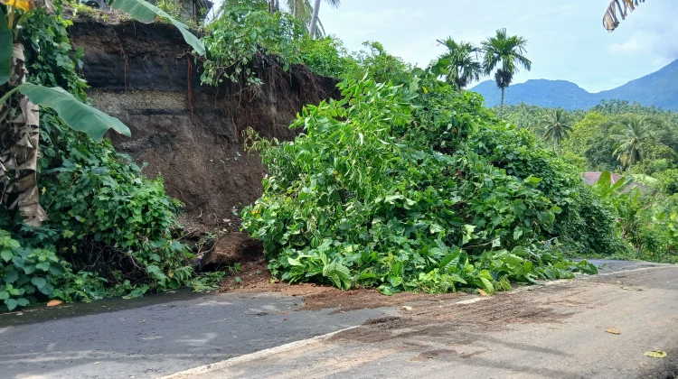 Hujan Deras Picu Longsor di Perbatasan dua Kelurahan di Tidore - RRI.co.id