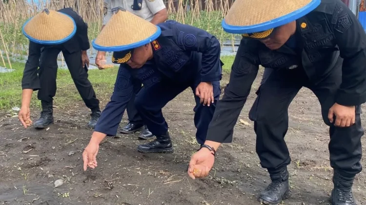 Lapas Tobelo Kembali Tanam Jagung usai Panen Sukses - RRI.co.id