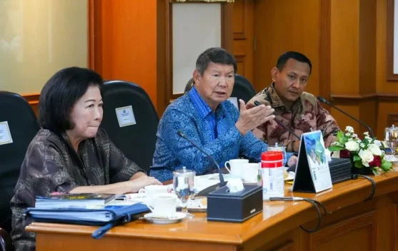 Indonesia Encourages Innovative Financing to Strengthen the ...